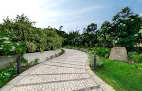 Kanha Shanti Vanam | Heartfulness