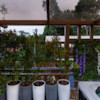 RiverMist Resorts | Chikmagalur